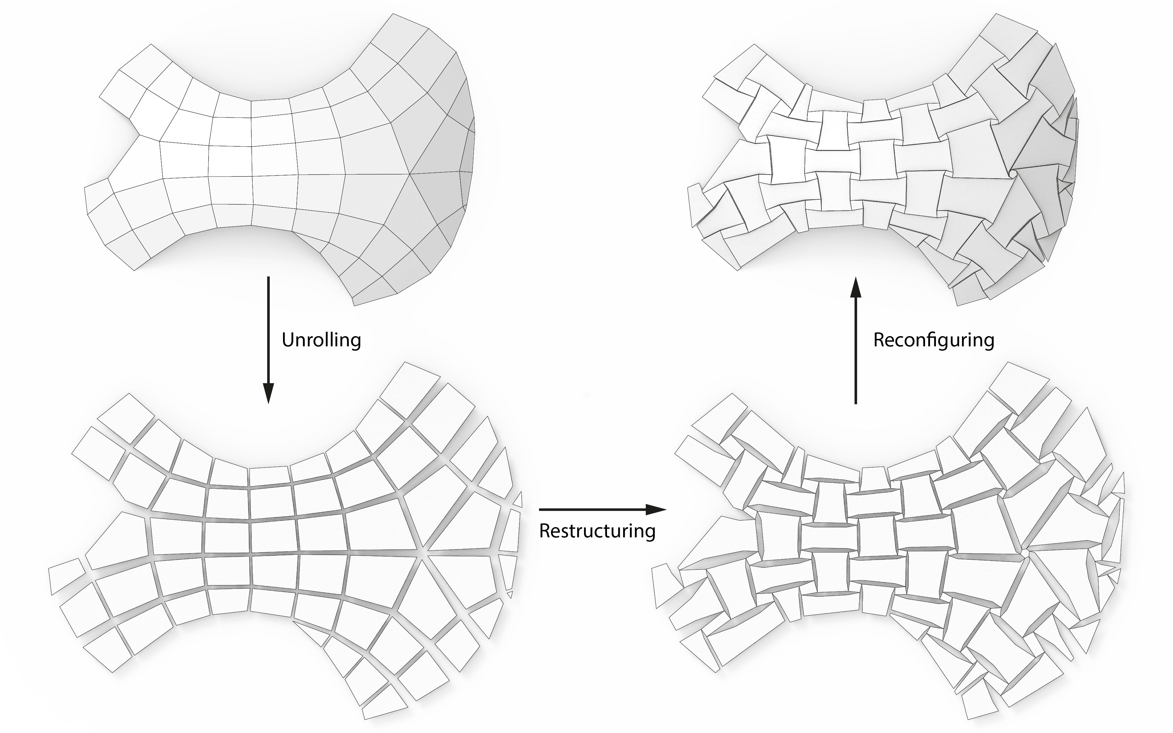 Programming Synclastic Surface at archiDOCT – ChiangYC